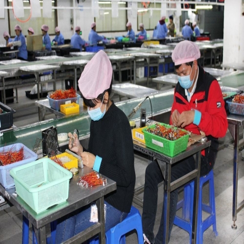 Factory evaluation-Services-Palco International Limited